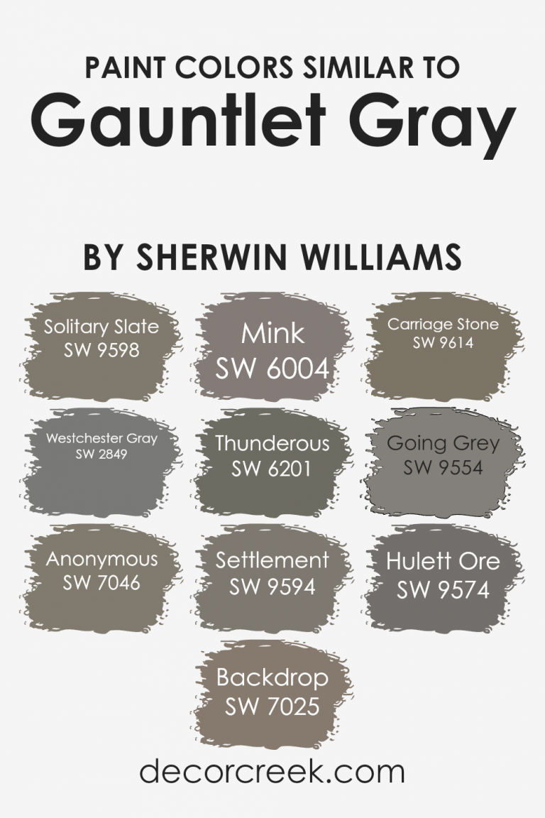Gauntlet Gray SW 7019 Paint Color by Sherwin Williams - DecorCreek