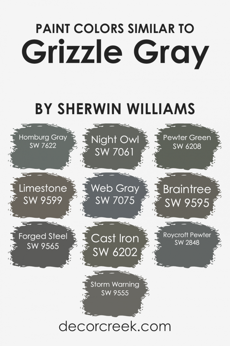 Grizzle Gray SW 7068 Paint Color by Sherwin Williams - DecorCreek