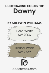 Downy SW 7002 Paint Color by Sherwin Williams - DecorCreek