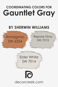 Gauntlet Gray SW 7019 Paint Color by Sherwin Williams - DecorCreek