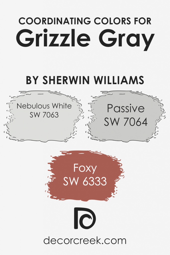 Grizzle Gray SW 7068 Paint Color by Sherwin Williams - DecorCreek