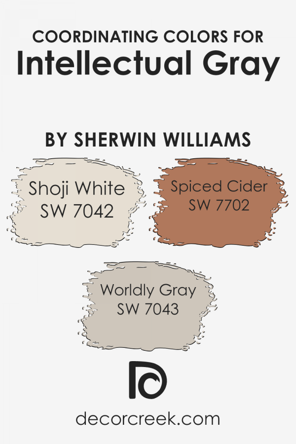 Intellectual Gray SW 7045 Paint Color by Sherwin Williams - DecorCreek