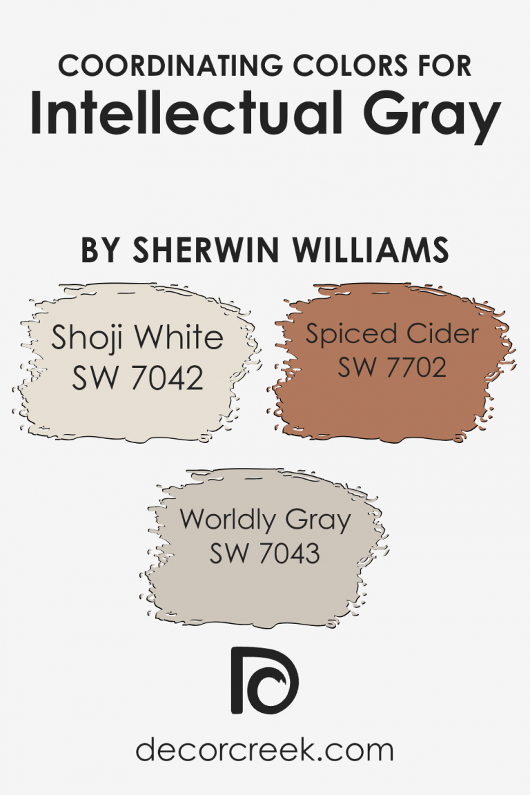 Intellectual Gray SW 7045 Paint Color by Sherwin Williams - DecorCreek