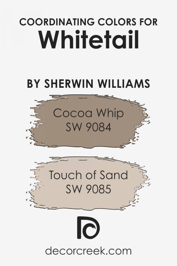 Whitetail SW 7103 Paint Color by Sherwin Williams - DecorCreek