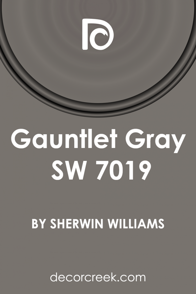 Gauntlet Gray SW 7019 Paint Color by Sherwin Williams - DecorCreek