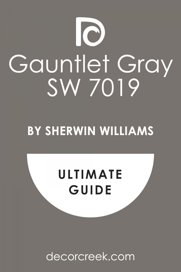 Gauntlet Gray SW 7019 Paint Color by Sherwin Williams - DecorCreek
