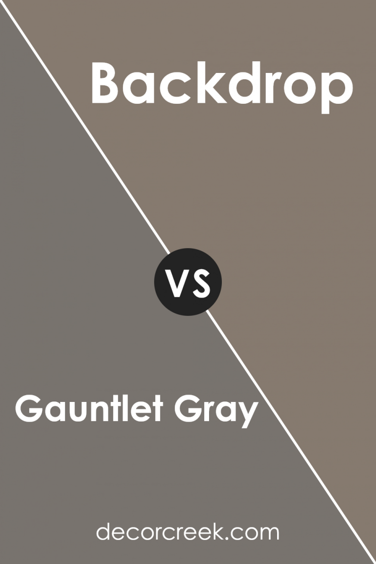 Gauntlet Gray SW 7019 Paint Color by Sherwin Williams - DecorCreek
