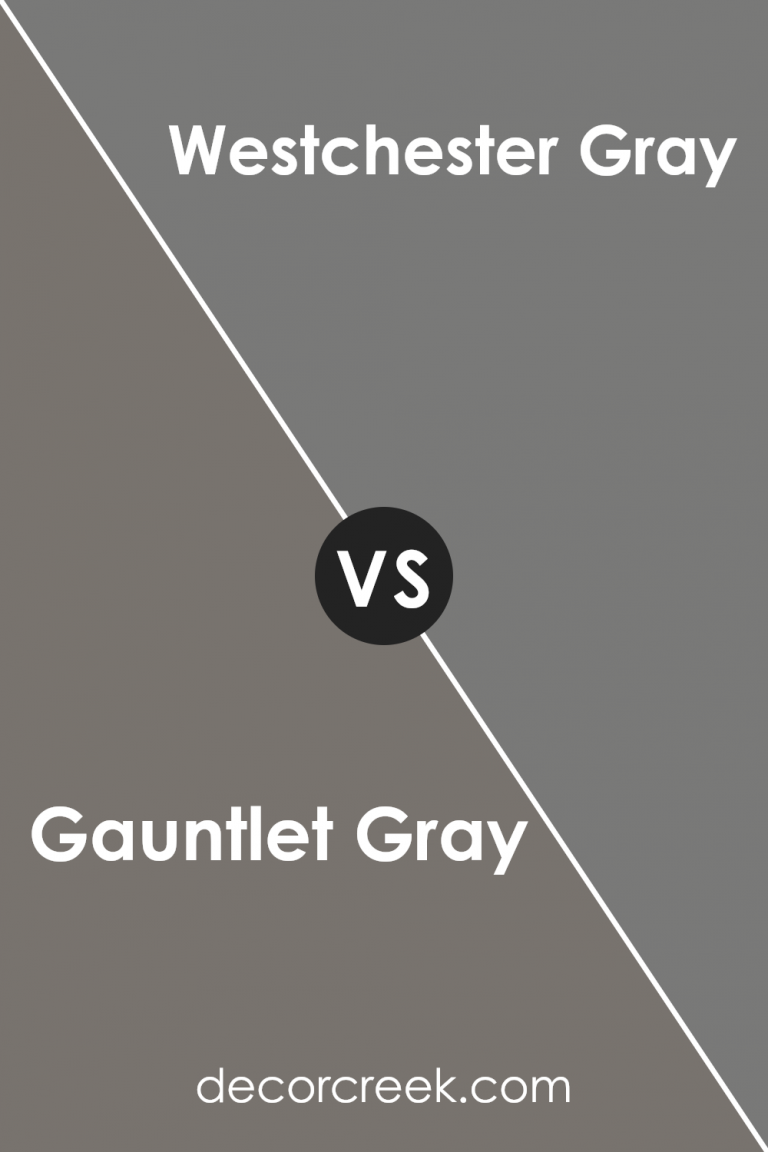Gauntlet Gray SW 7019 Paint Color by Sherwin Williams - DecorCreek