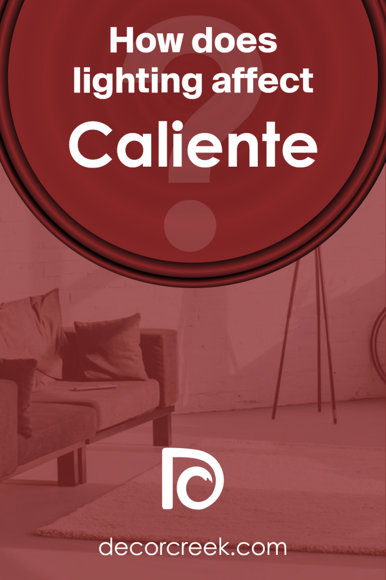 Caliente AF-290 Paint Color by Benjamin Moore - DecorCreek