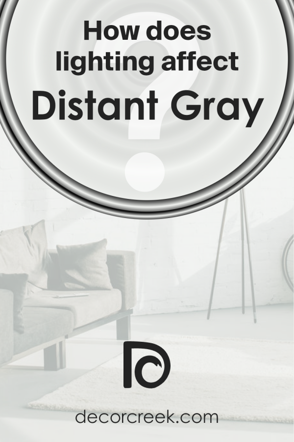 Distant Gray OC-68 Paint Color by Benjamin Moore - DecorCreek