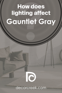 Gauntlet Gray SW 7019 Paint Color by Sherwin Williams - DecorCreek