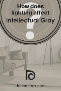 Intellectual Gray SW 7045 Paint Color by Sherwin Williams - DecorCreek