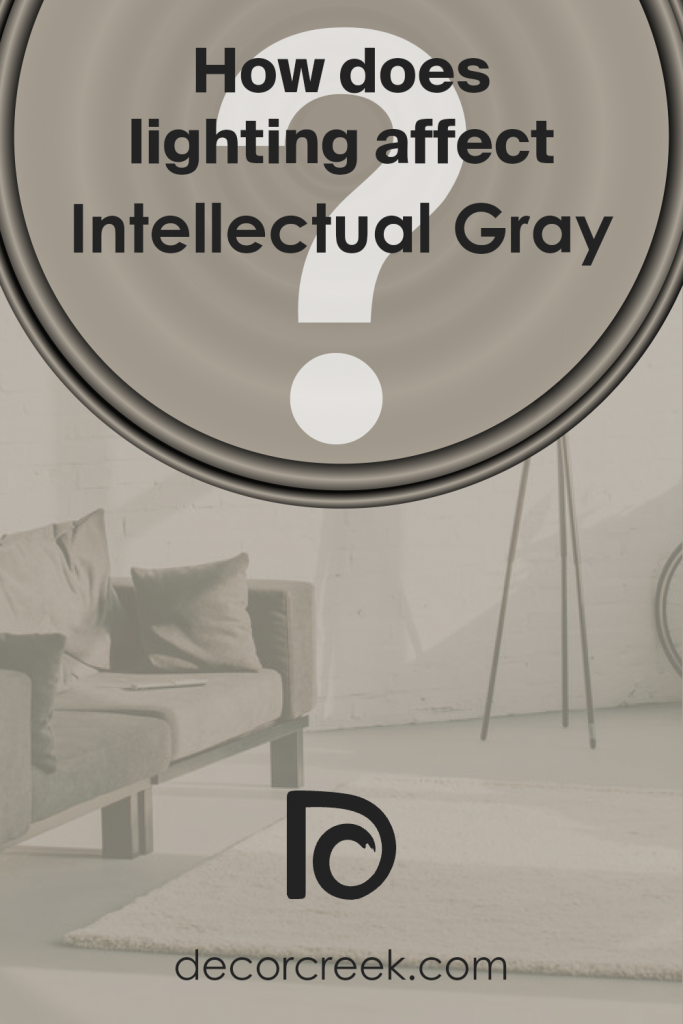 Intellectual Gray SW 7045 Paint Color by Sherwin Williams - DecorCreek