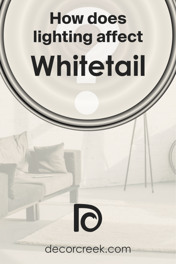 Whitetail SW 7103 Paint Color by Sherwin Williams - DecorCreek