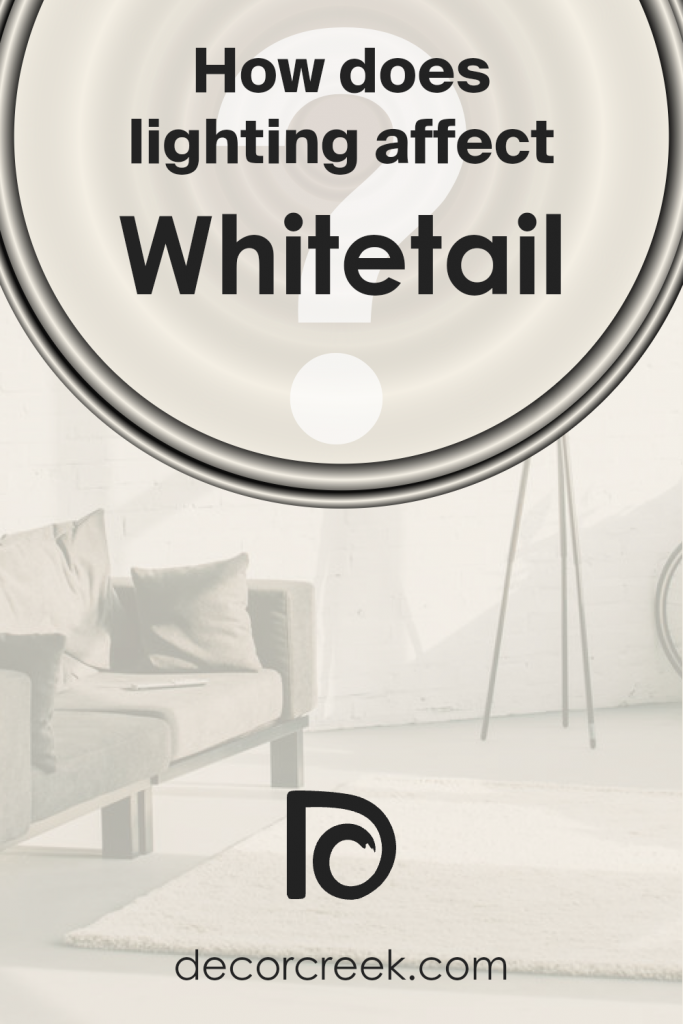 Whitetail SW 7103 Paint Color by Sherwin Williams - DecorCreek