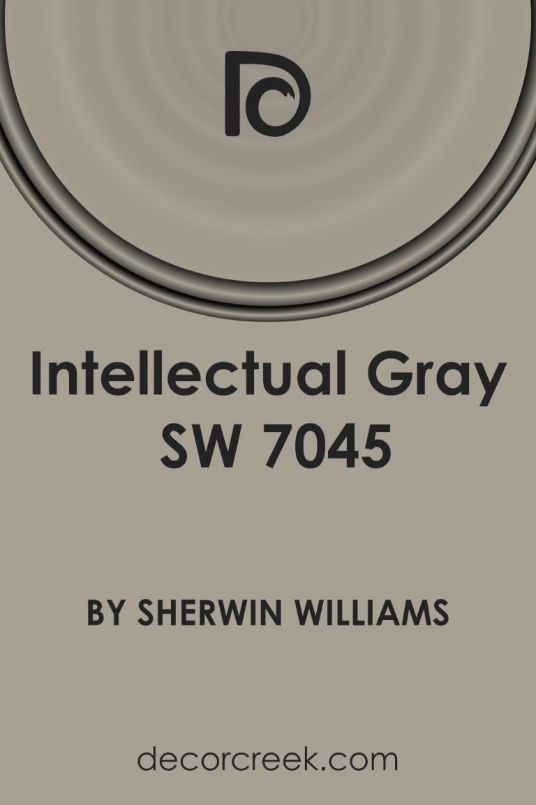 Intellectual Gray SW 7045 Paint Color by Sherwin Williams - DecorCreek