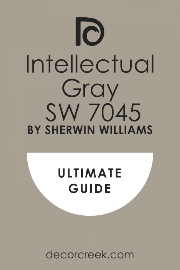 Intellectual Gray SW 7045 Paint Color by Sherwin Williams - DecorCreek