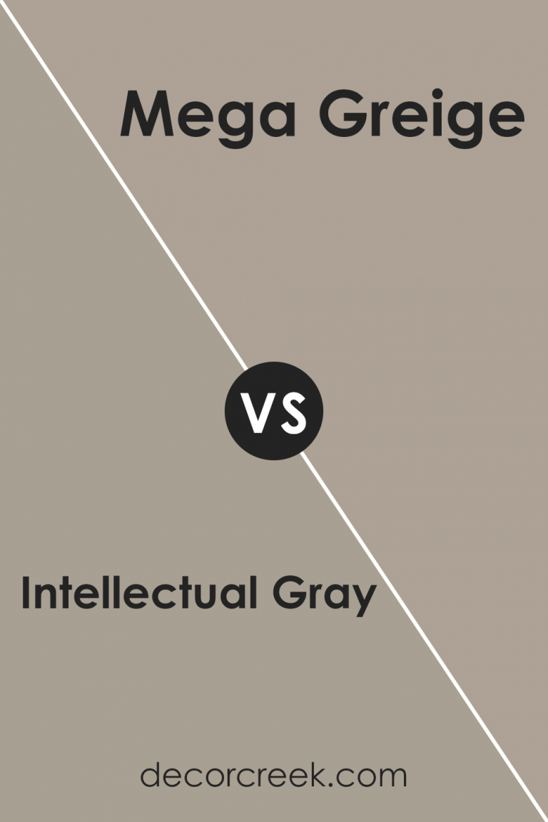 Intellectual Gray SW 7045 Paint Color by Sherwin Williams - DecorCreek