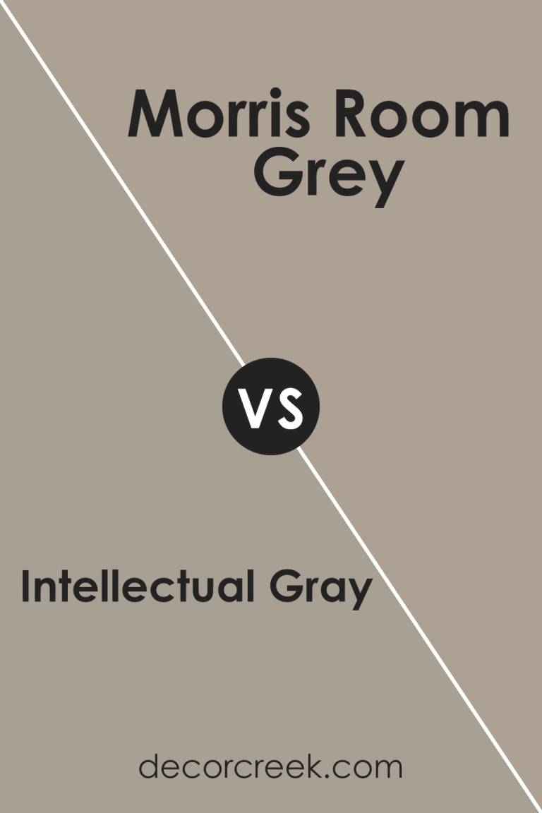 Intellectual Gray SW 7045 Paint Color by Sherwin Williams - DecorCreek