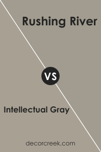 Intellectual Gray SW 7045 Paint Color by Sherwin Williams - DecorCreek