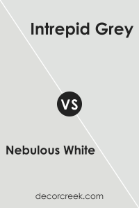Nebulous White SW 7063 Paint Color by Sherwin Williams - DecorCreek