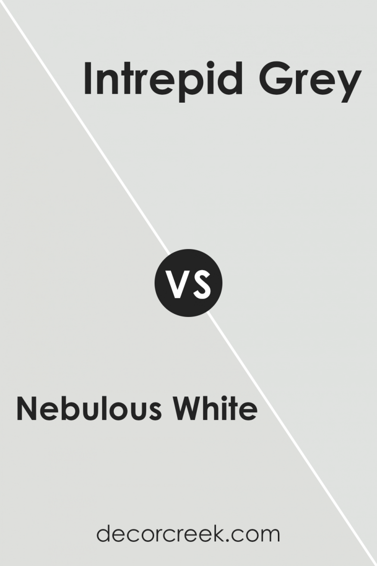 Nebulous White SW 7063 Paint Color by Sherwin Williams - DecorCreek