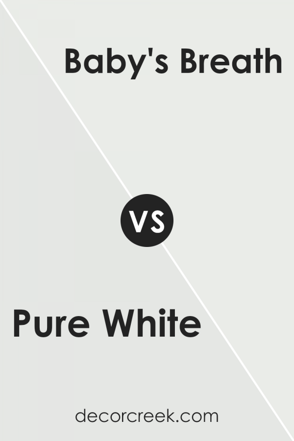 Pure White OC-64 Paint Color by Benjamin Moore - DecorCreek