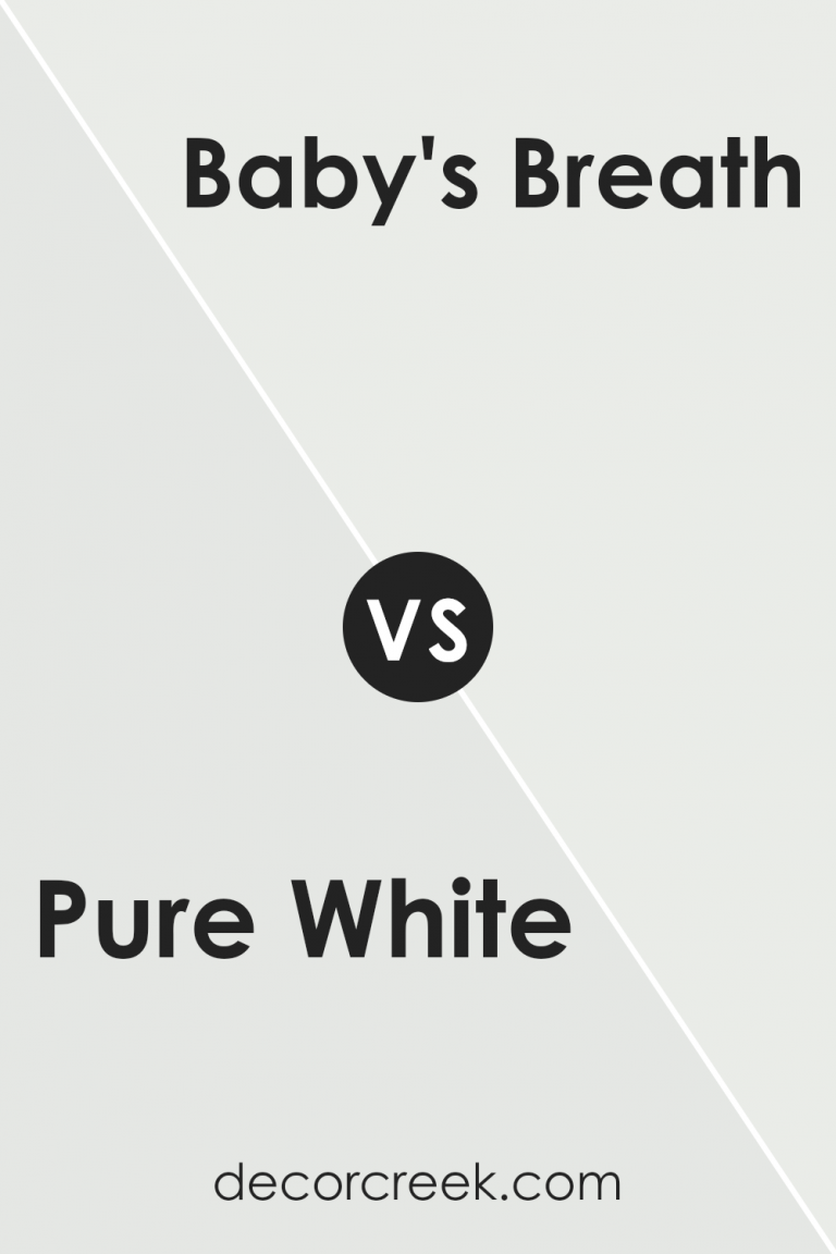 Pure White OC-64 Paint Color by Benjamin Moore - DecorCreek