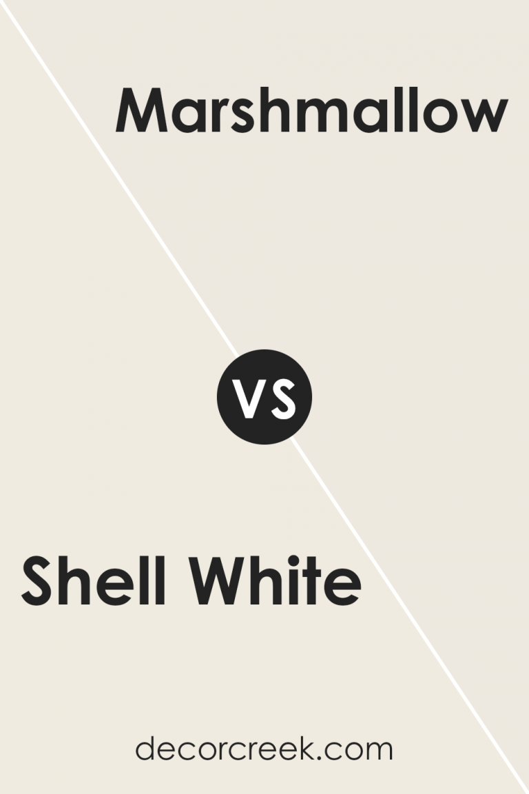 Shell White SW 8917 Paint Color by Sherwin Williams - DecorCreek