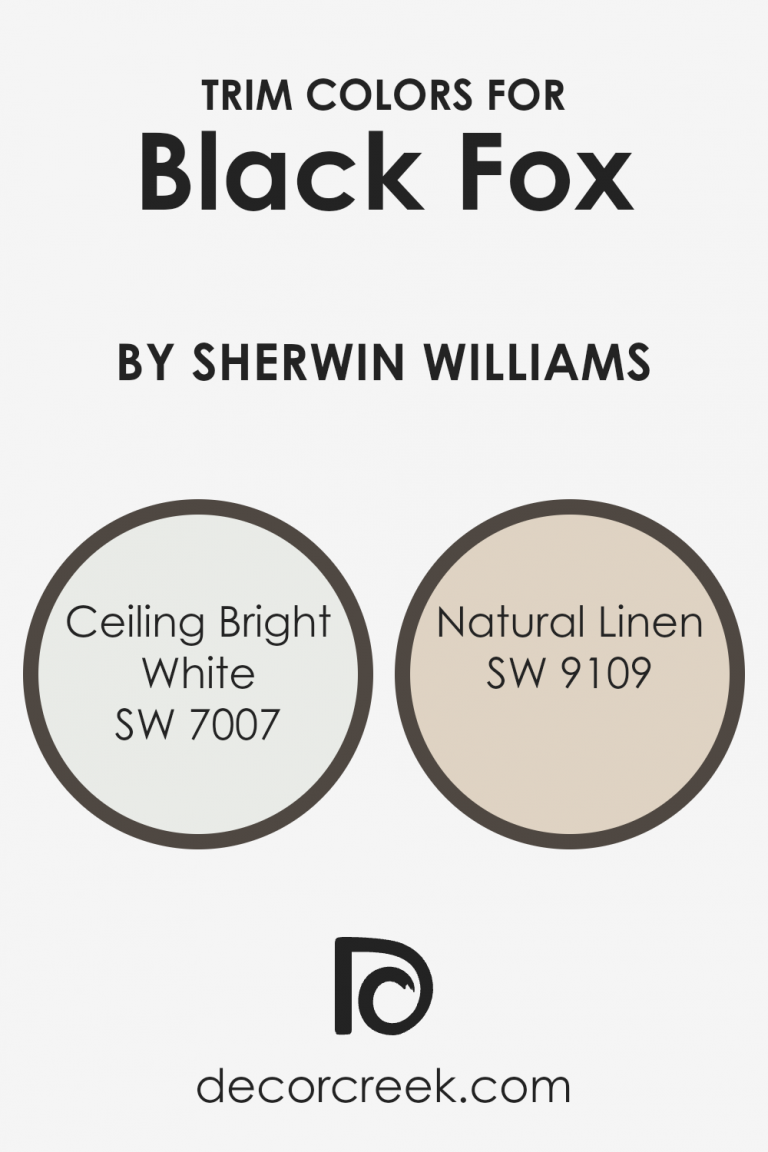 Black Fox SW 7020 Paint Color by Sherwin Williams - DecorCreek