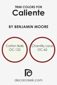 Caliente AF-290 Paint Color by Benjamin Moore - DecorCreek
