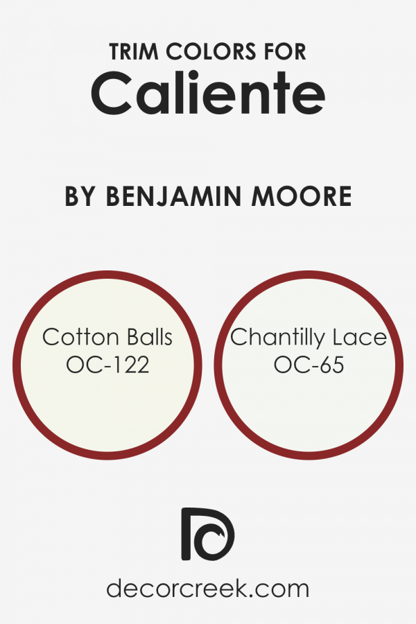 Caliente AF-290 Paint Color by Benjamin Moore - DecorCreek