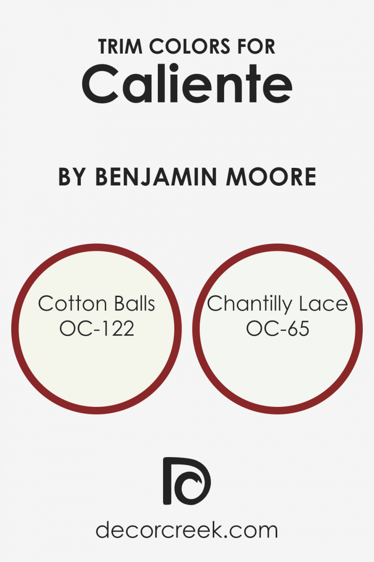 Caliente AF-290 Paint Color by Benjamin Moore - DecorCreek