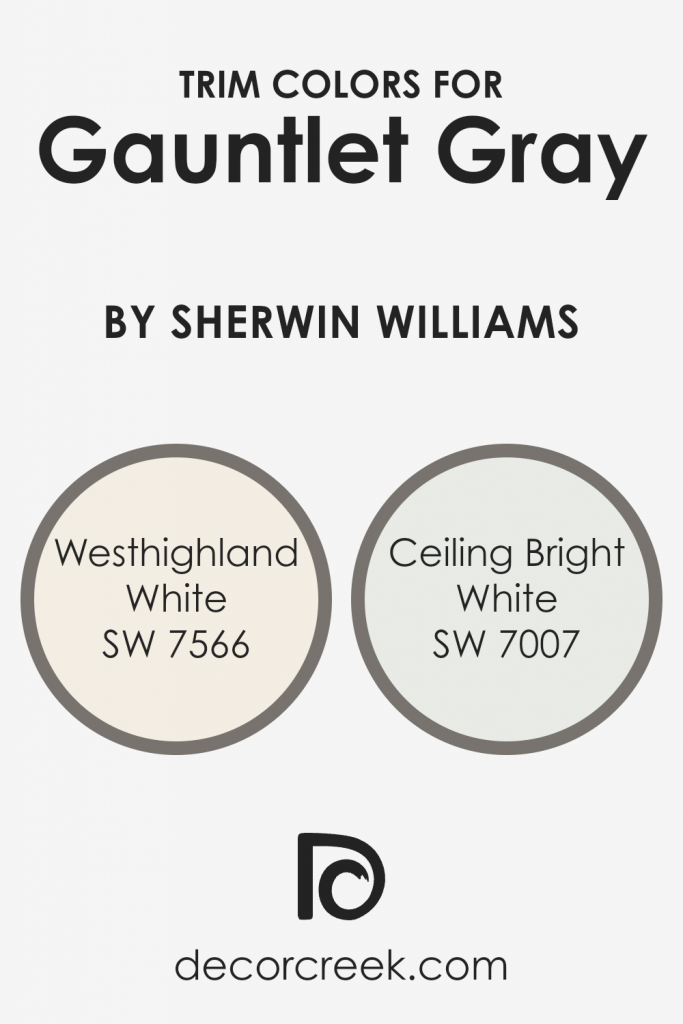 Gauntlet Gray SW 7019 Paint Color by Sherwin Williams - DecorCreek
