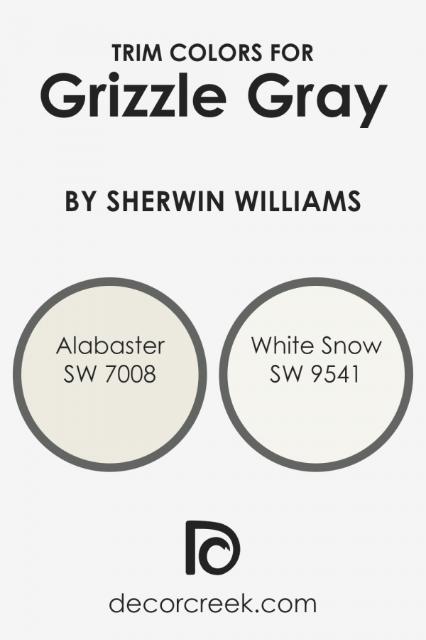 Grizzle Gray SW 7068 Paint Color by Sherwin Williams - DecorCreek