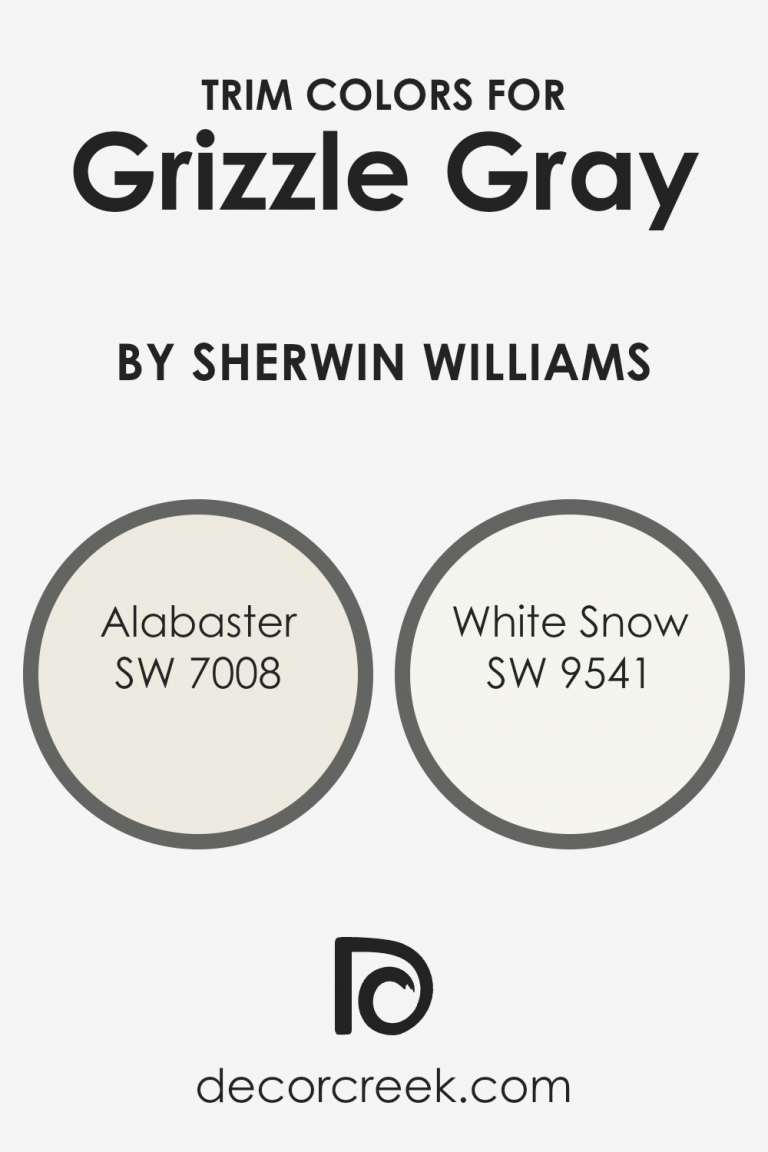 Grizzle Gray SW 7068 Paint Color by Sherwin Williams - DecorCreek