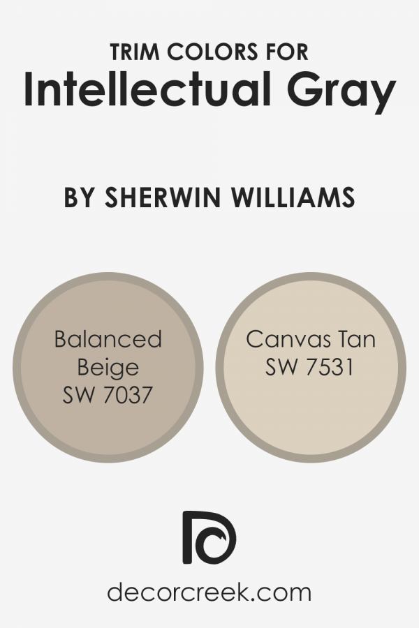 Intellectual Gray SW 7045 Paint Color by Sherwin Williams - DecorCreek