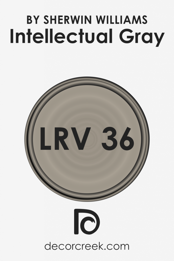 Intellectual Gray SW 7045 Paint Color by Sherwin Williams - DecorCreek