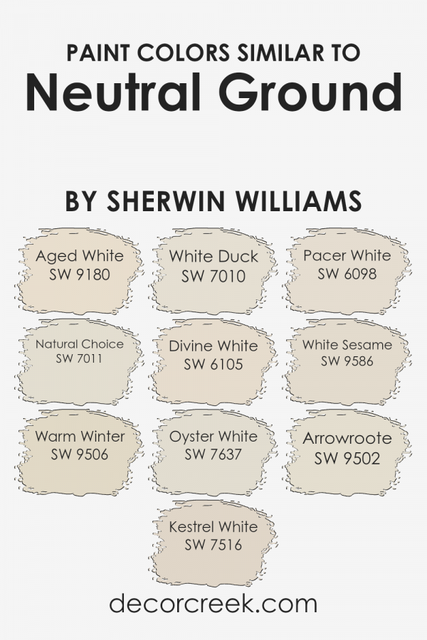 Neutral Ground SW 7568 Paint Color by Sherwin Williams - DecorCreek