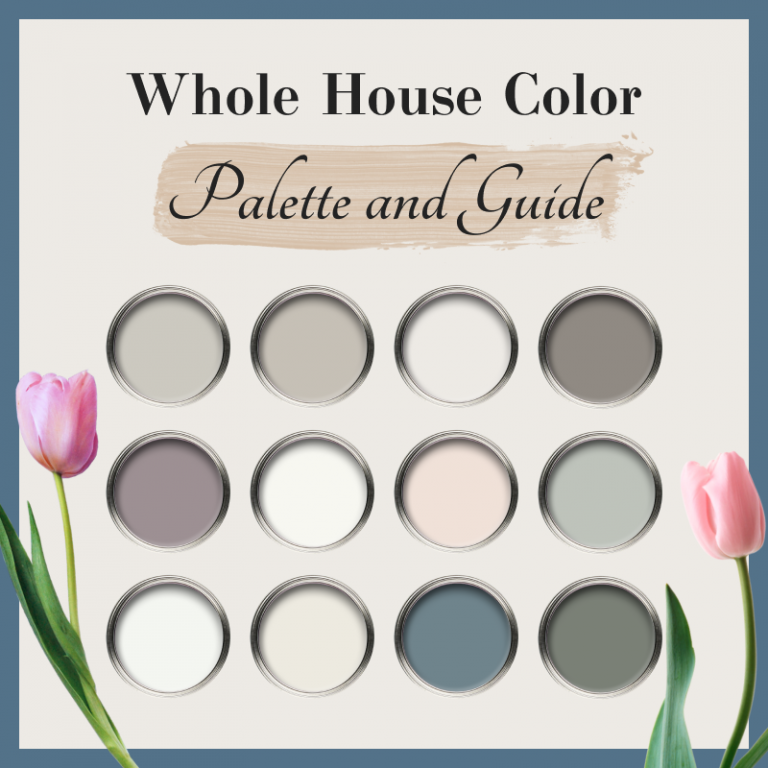 Snowbound Whole House Color Palette - DecorCreek