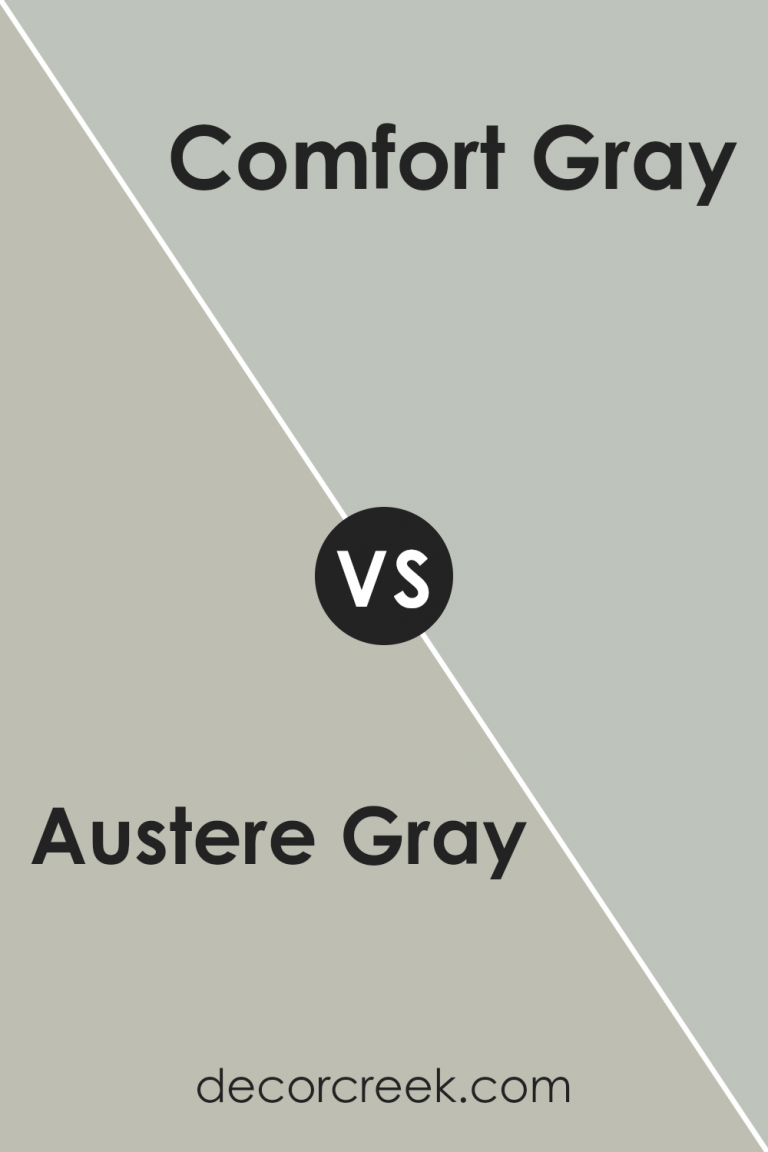 Austere Gray SW 6184 Paint Color by Sherwin Williams - DecorCreek