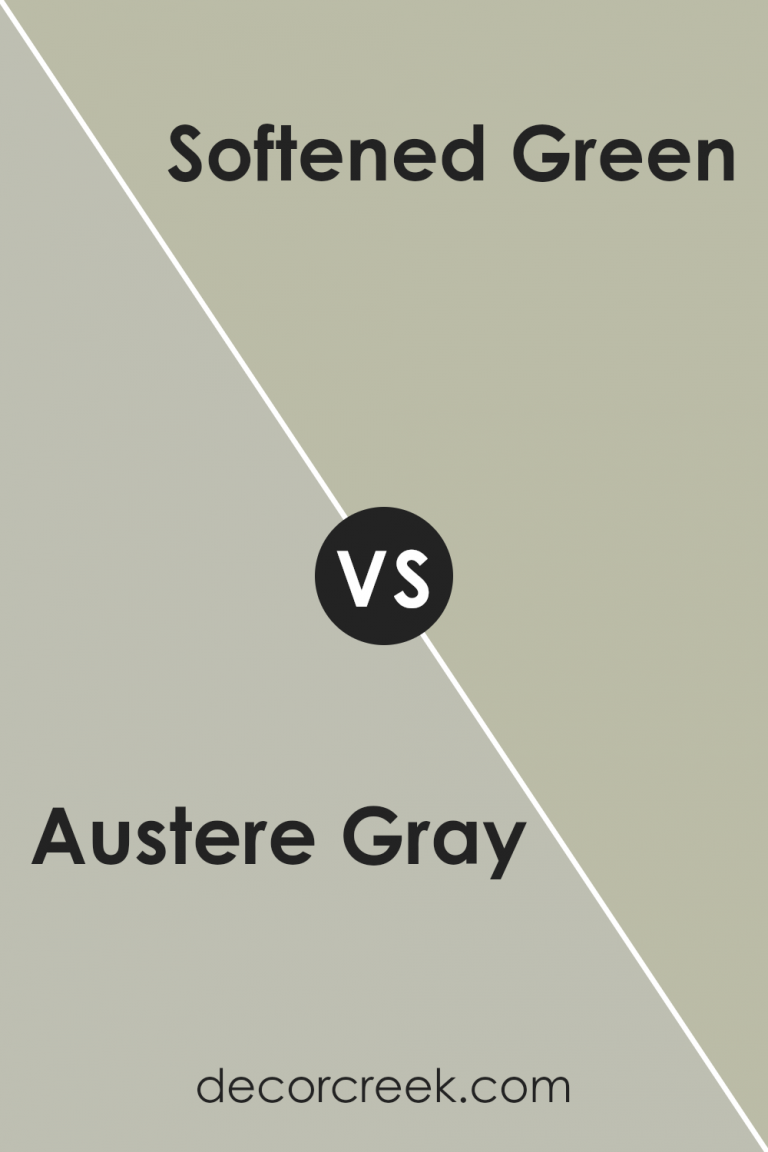 Austere Gray SW 6184 Paint Color by Sherwin Williams - DecorCreek