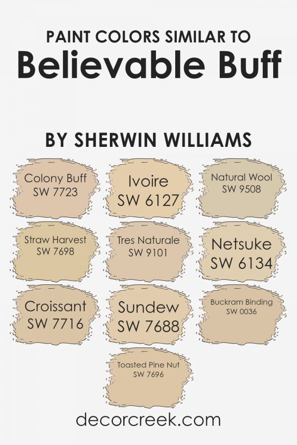 Believable Buff SW 6120 Paint Color by Sherwin Williams - DecorCreek