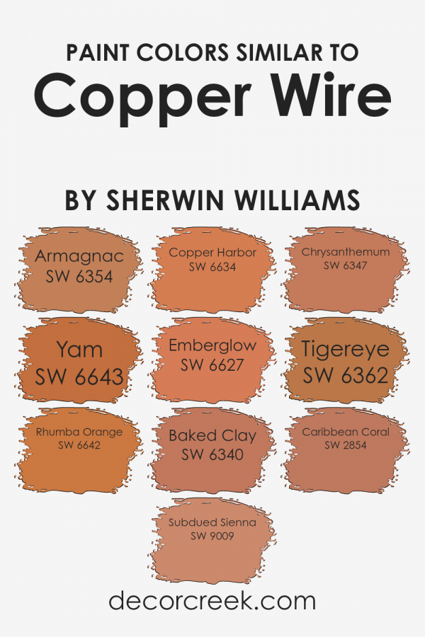 Copper Wire SW 7707 Paint Color by Sherwin Williams - DecorCreek