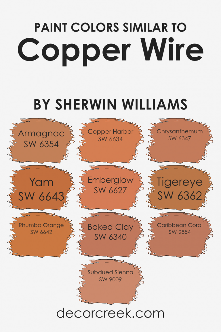 Copper Wire SW 7707 Paint Color by Sherwin Williams - DecorCreek