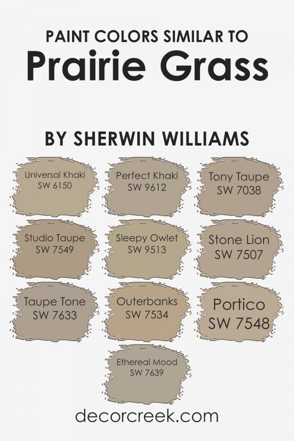 Prairie Grass SW 7546 Paint Color by Sherwin Williams - DecorCreek