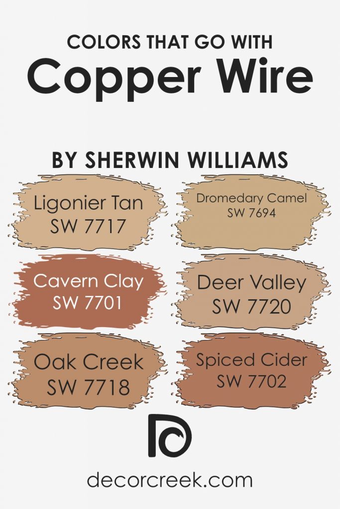 Copper Wire SW 7707 Paint Color by Sherwin Williams - DecorCreek