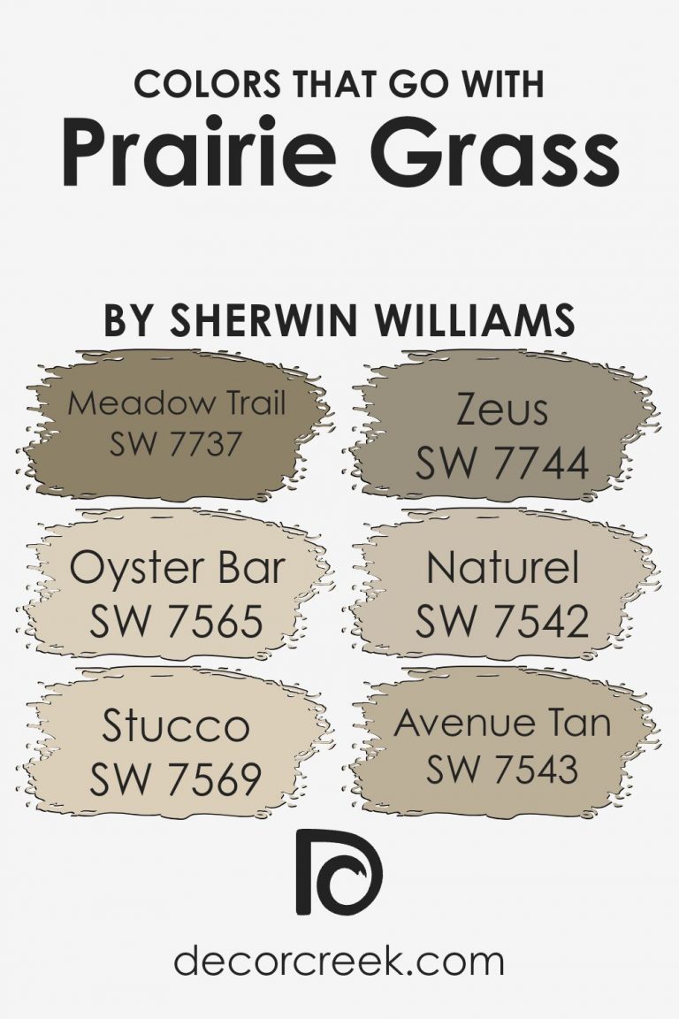 Prairie Grass SW 7546 Paint Color by Sherwin Williams - DecorCreek
