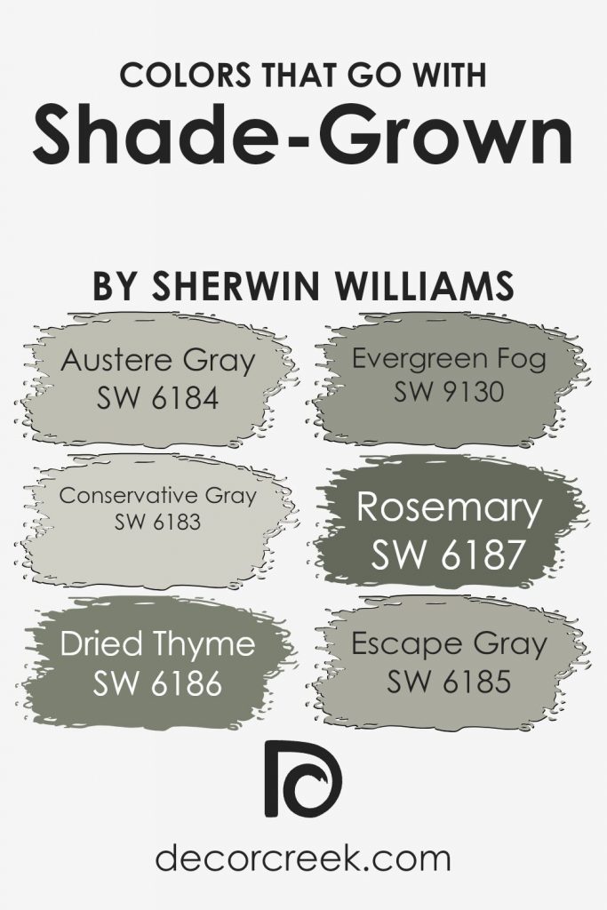 Shade-Grown SW 6188 Paint Color by Sherwin Williams - DecorCreek