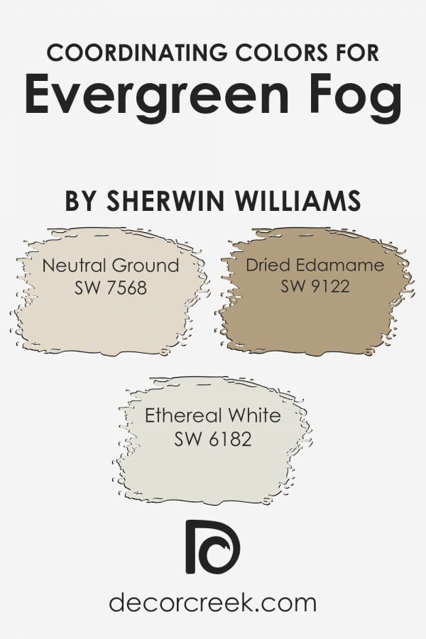 Evergreen Fog SW 9130 Paint Color by Sherwin Williams - DecorCreek